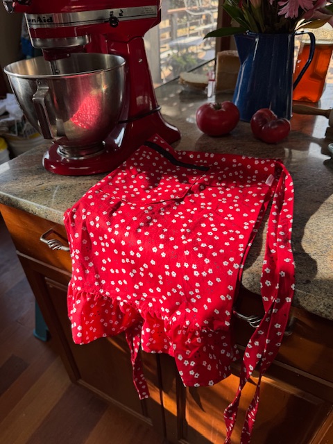 Red Kitchen Apron - My Everyday Ordinary Life